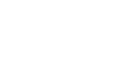 Inicio - Transoriente